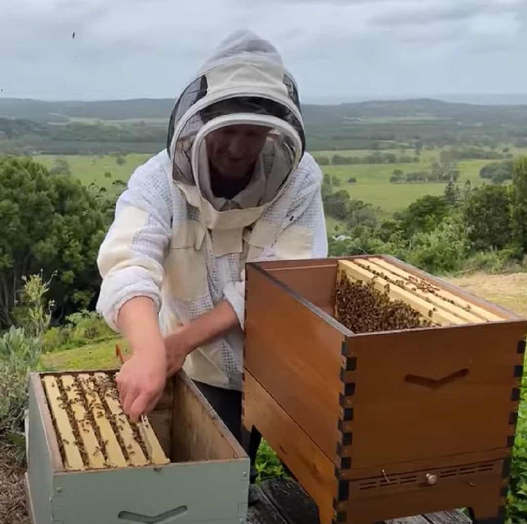 How do I split my hive in spring | Step by step video - Flow Hive UK