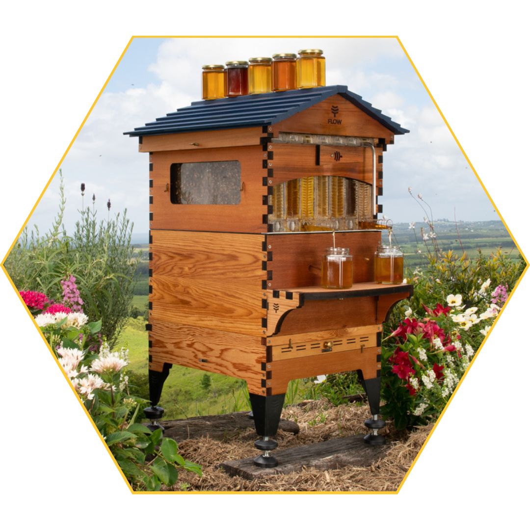 Beekeeping in Spring - Flow Hive UK