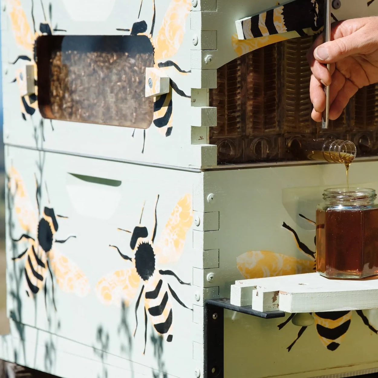Flow Hive Classic | The perfect starter beehive - Flow Hive UK
