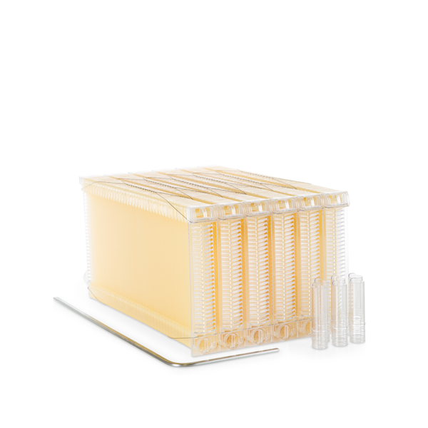 Buy Flow Frames | Convert an existing bee hive super - Flow Hive UK